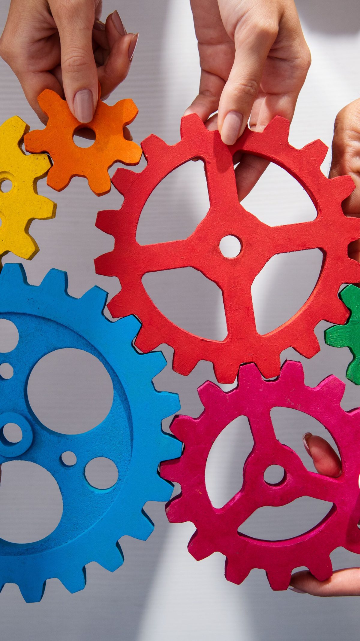 Progress Sitefinity - BAYOOTEC